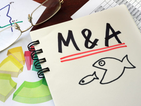 What is a Platform Acquisition? – RoseBiz Inc